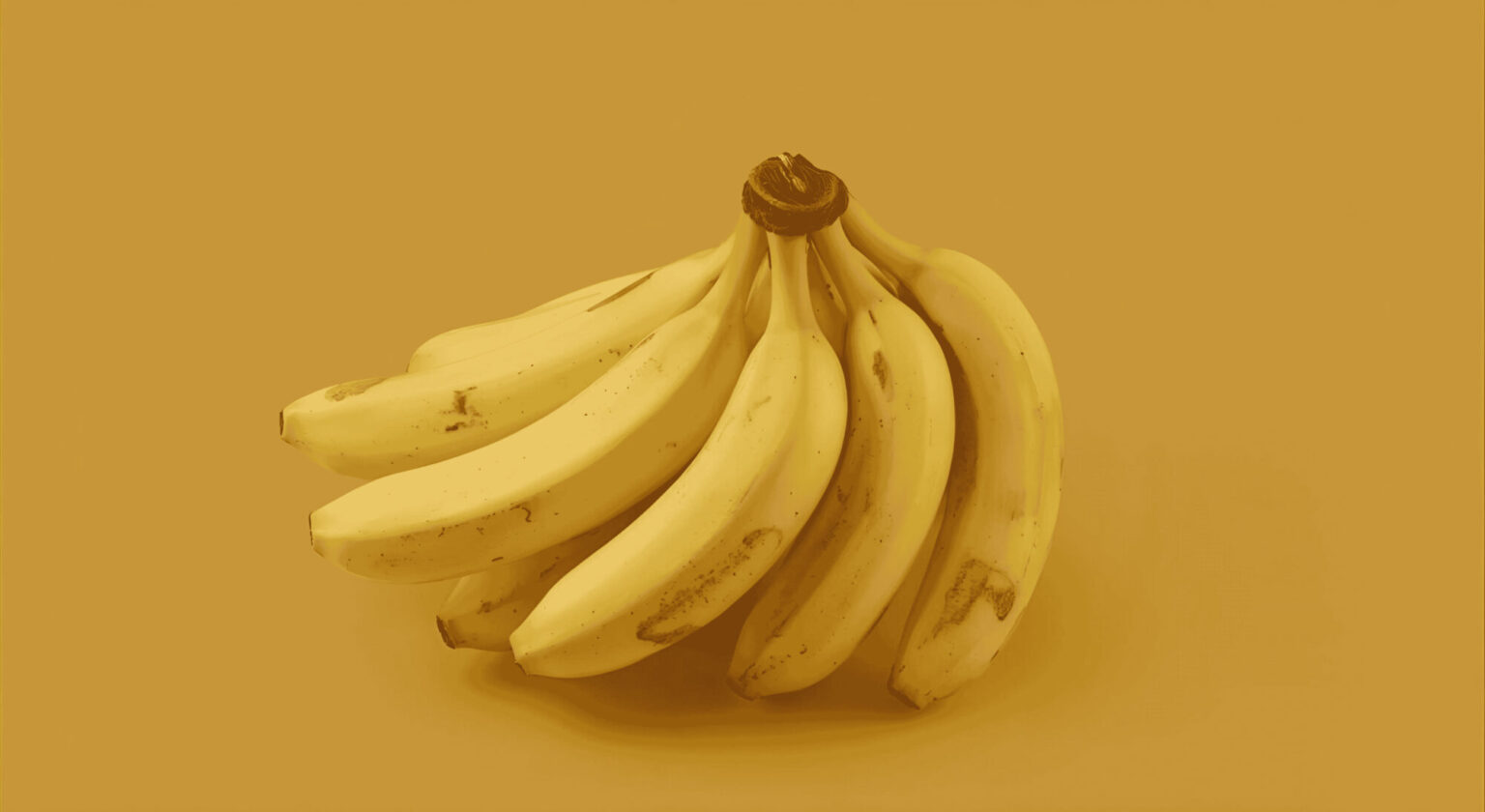Free download Banana fruit isolated on solid background - Artistry Avenue