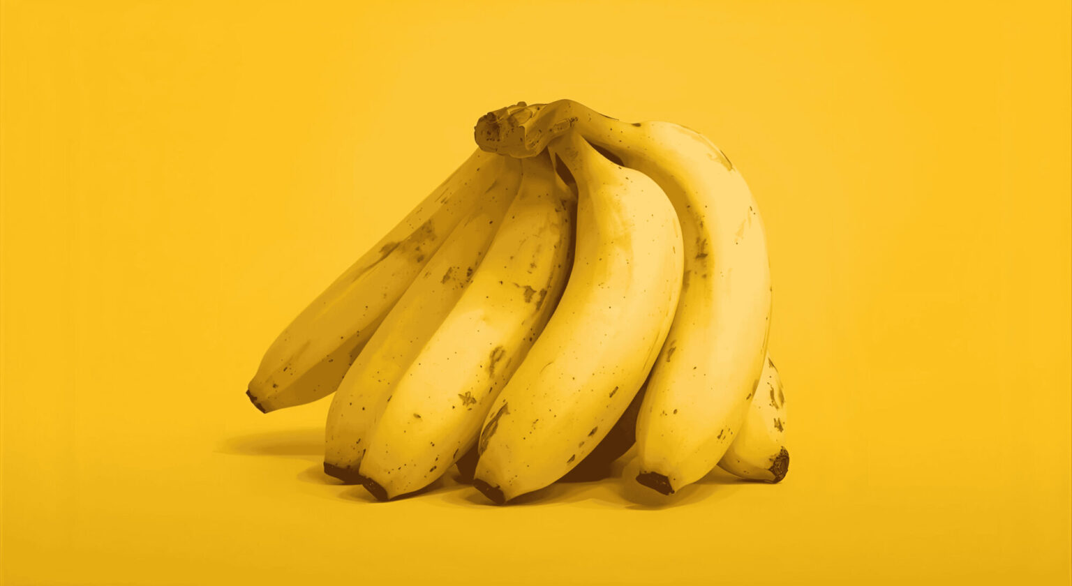 Free download Banana fruit isolated on solid background - Artistry Avenue